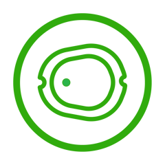 Dexcom G7 | Easy. Accurate. Better Health Outcomes | AU